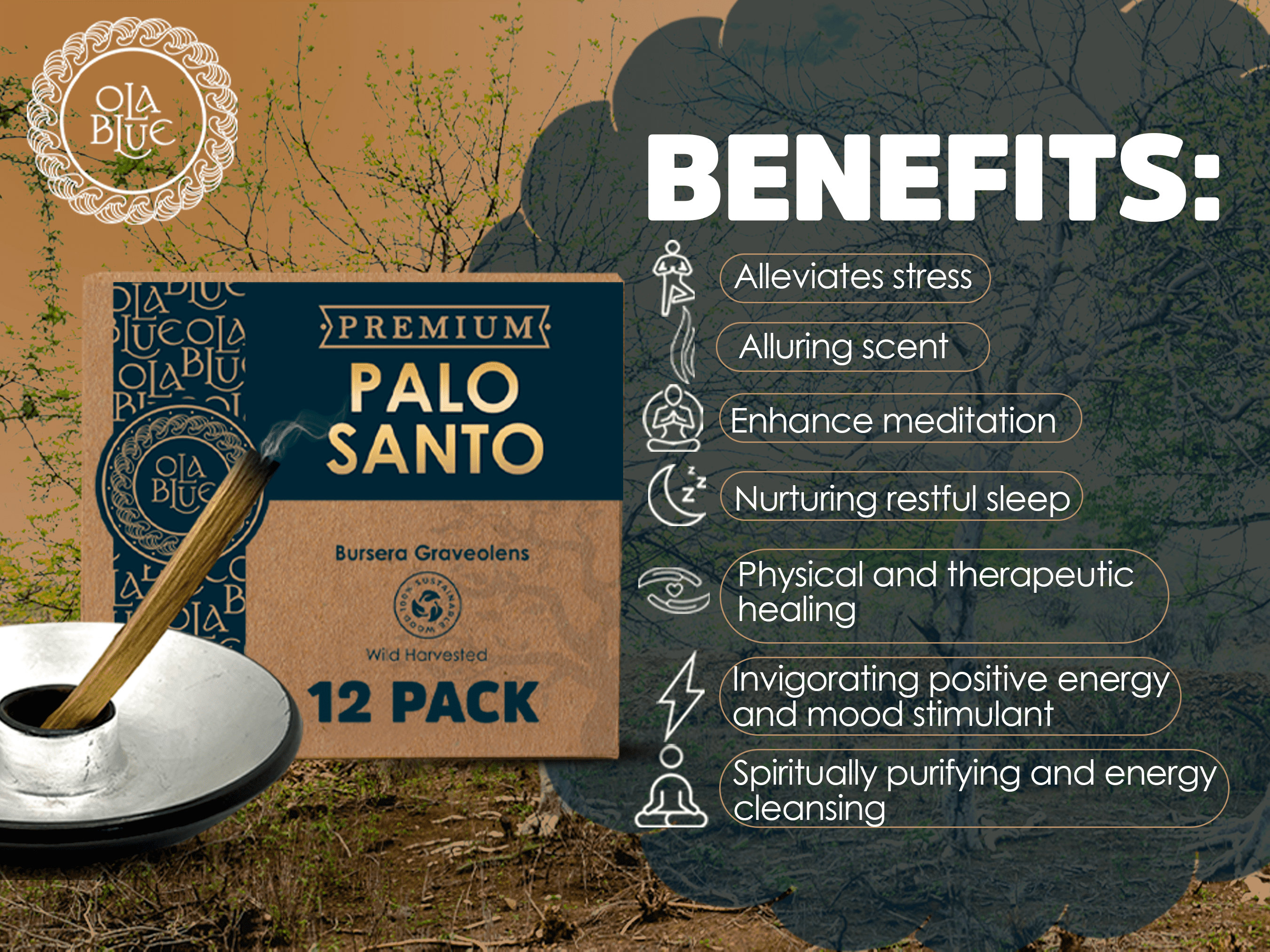 Ola Blue Palo Santo Sticks Premium Resin 12-pack Peruvian Authentic ...