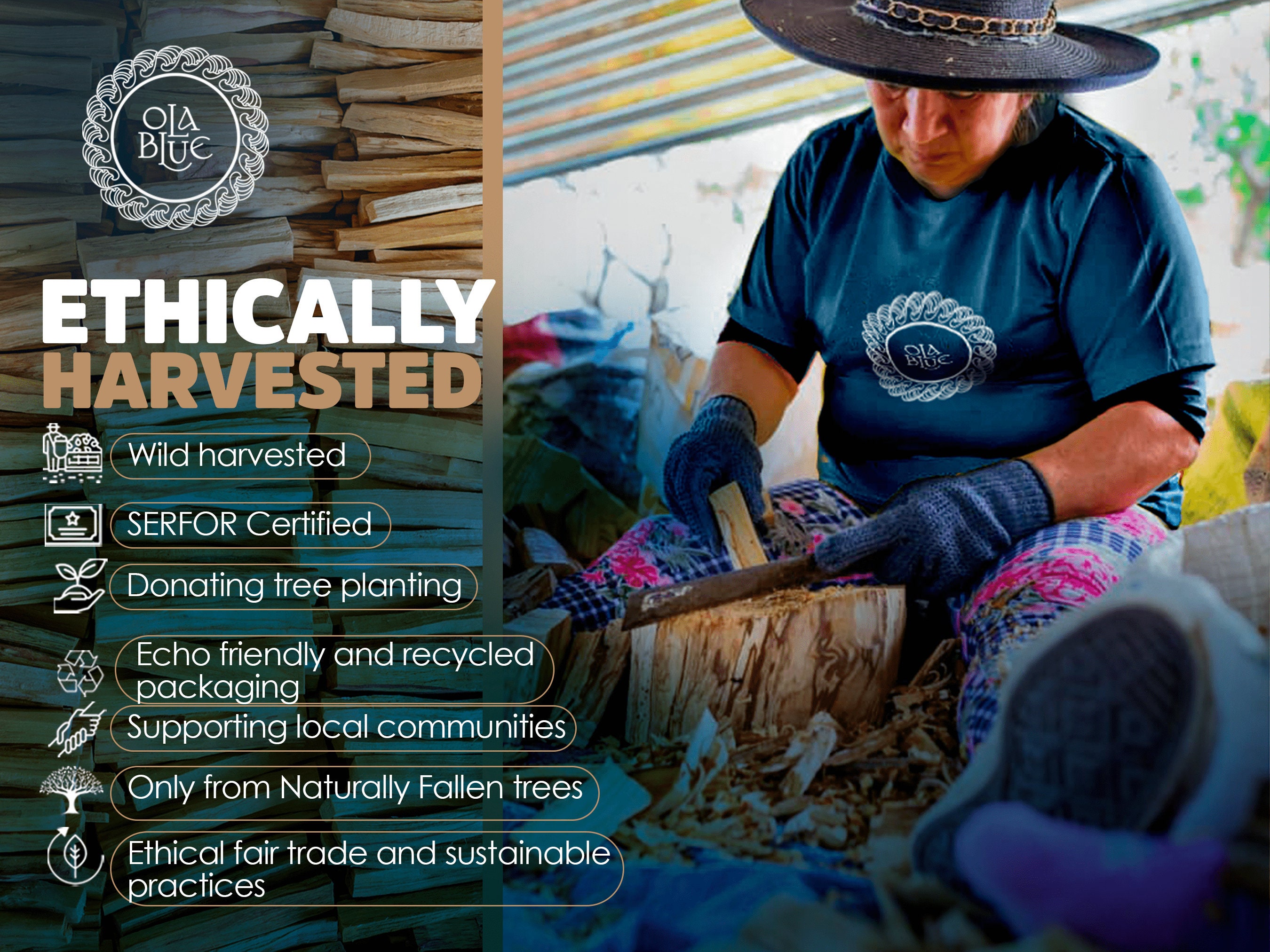 Ola Blue Palo Santo Sticks Premium Resin 12-pack Peruvian Authentic ...