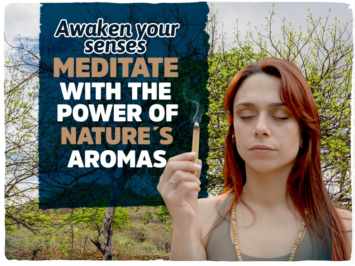 Ola Blue Palo Santo Sticks Premium Resin (12-pack) Peruvian Authentic ...