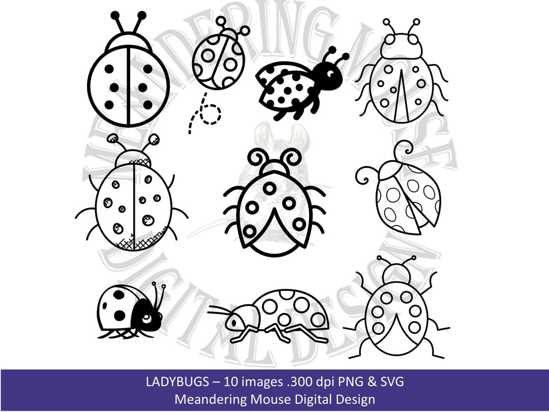 Ladybug Digital Stamp: Assorted Styles SVG & PNG (digital Download) - Etsy