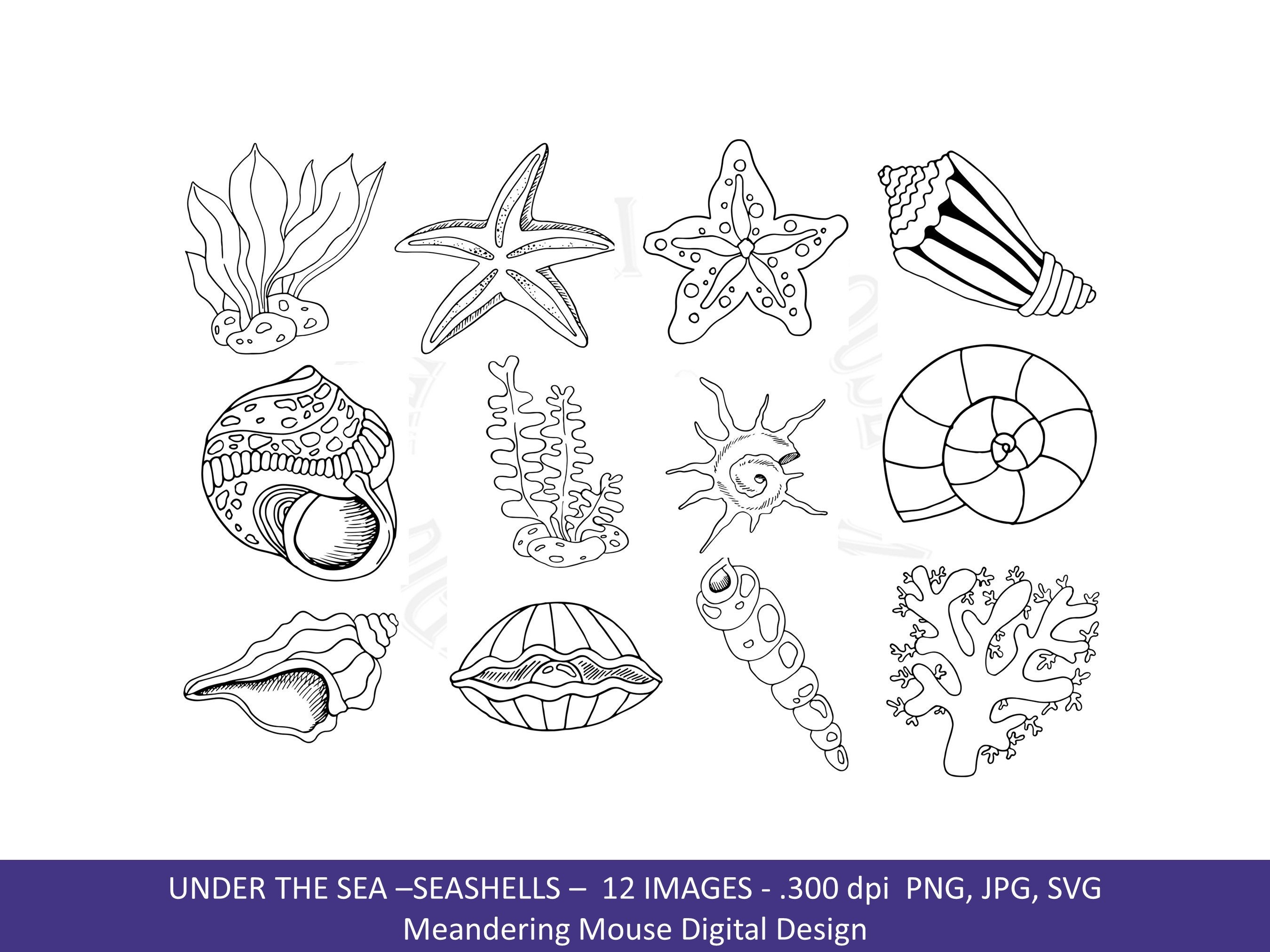 UNDER THE SEA - Digi Stamps (seashells, Starfish, Seaweed, Ocean, Conch ...