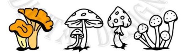MUSHROOMS - Digi Stamp, Printable, Mushroom, Toadstool, Fungus, Cottage ...