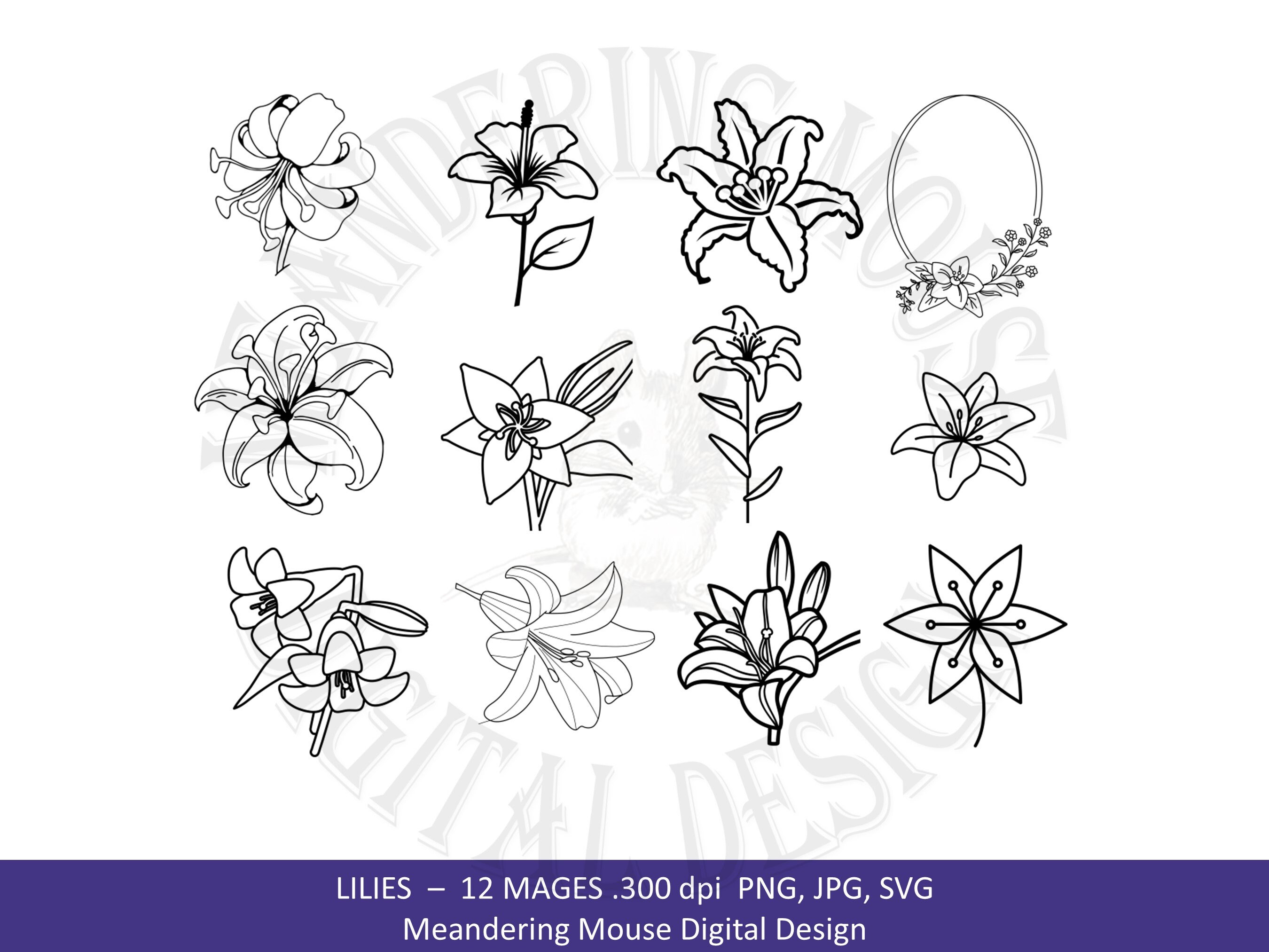 LILIES - Digi Stamp (lily Flower, Lily Frame, Day Lily, Easter Lily ...