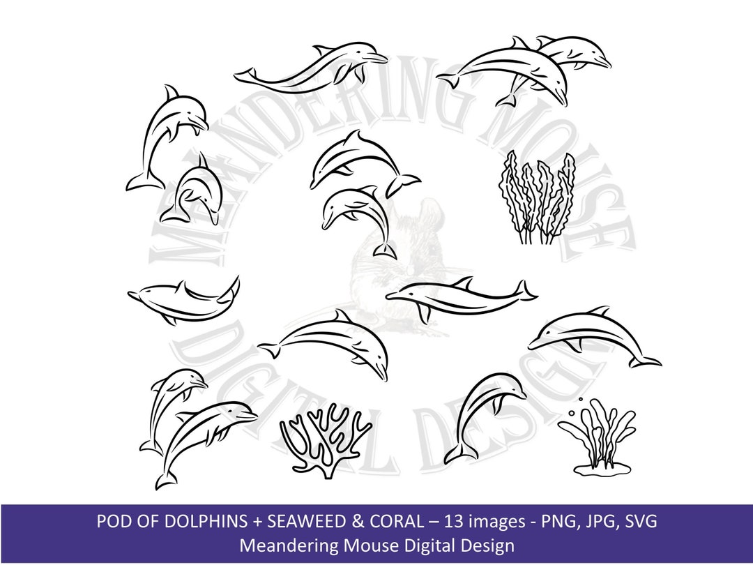Dolphin Digital Stamps: Leaping Dolphins, Coral, Seaweed (PNG, JPG, SVG ...
