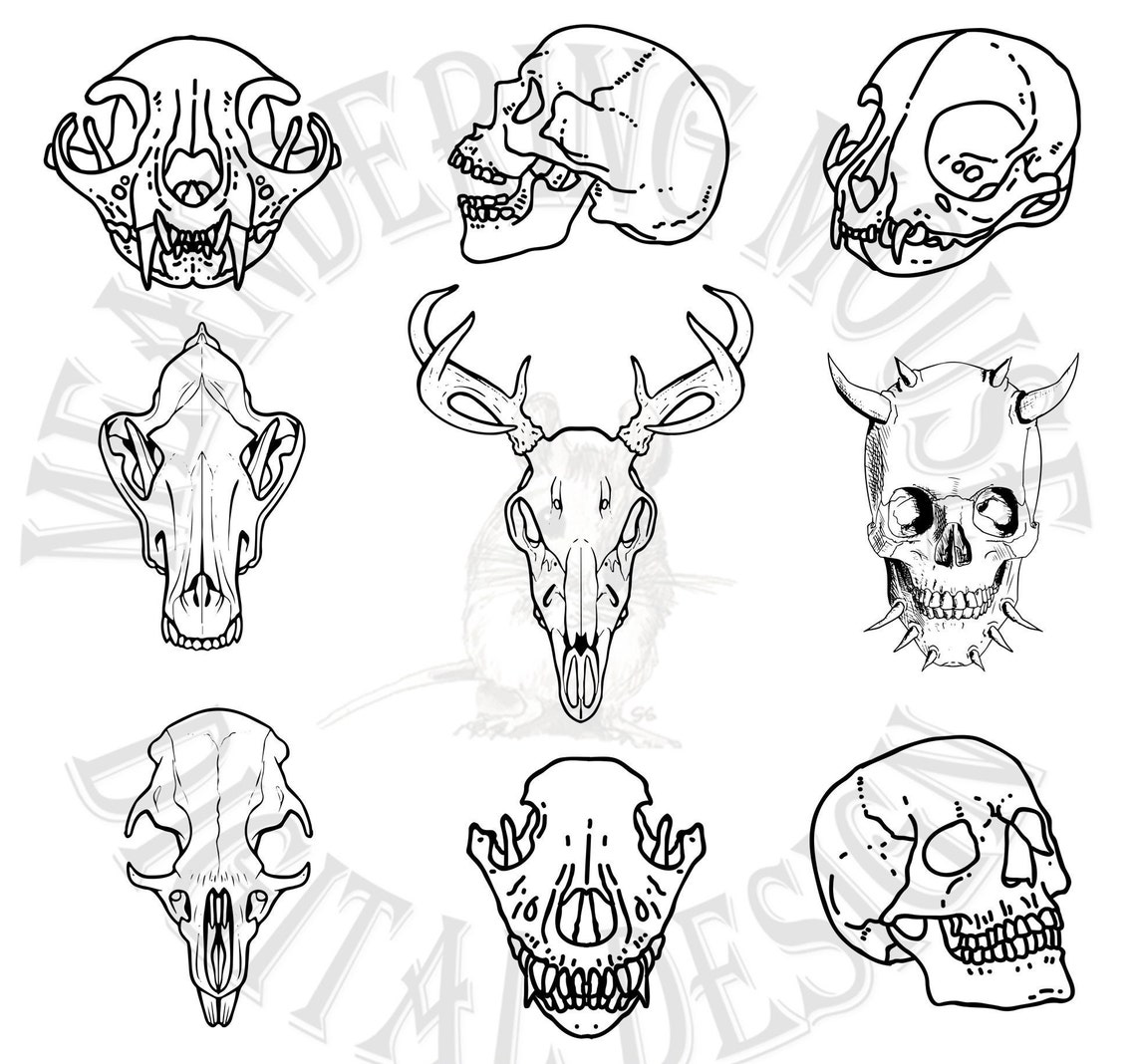 SKULLS Digi Stamps Human, Wolf, Rat, Cat, Devil, Deer Skulls, Svg, Jpg ...