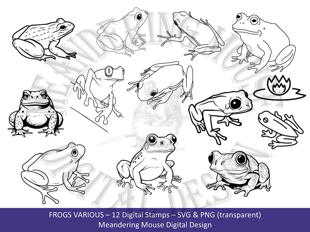 Frog Digital Stamps: Outline and Doodle Art (SVG & PNG) - Etsy