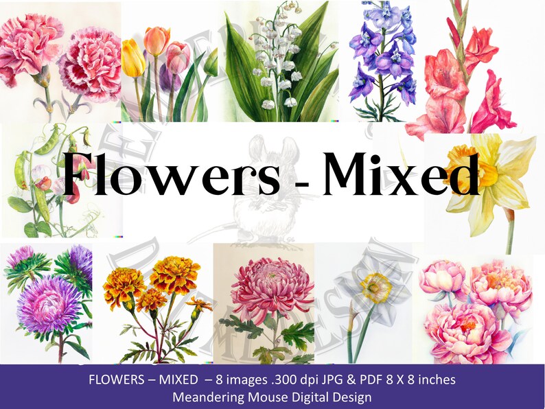 FLOWERS MIXED - Clipart - Etsy