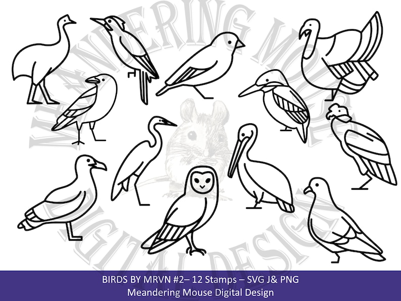 Bird Digital Stamps: 12 PNG SVG Clipart (commercial Use) - Etsy