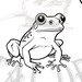 FROGS VARIOUS - Digital Stamp Frog, Digi Frogs, Tree Frogs, Outline and ...
