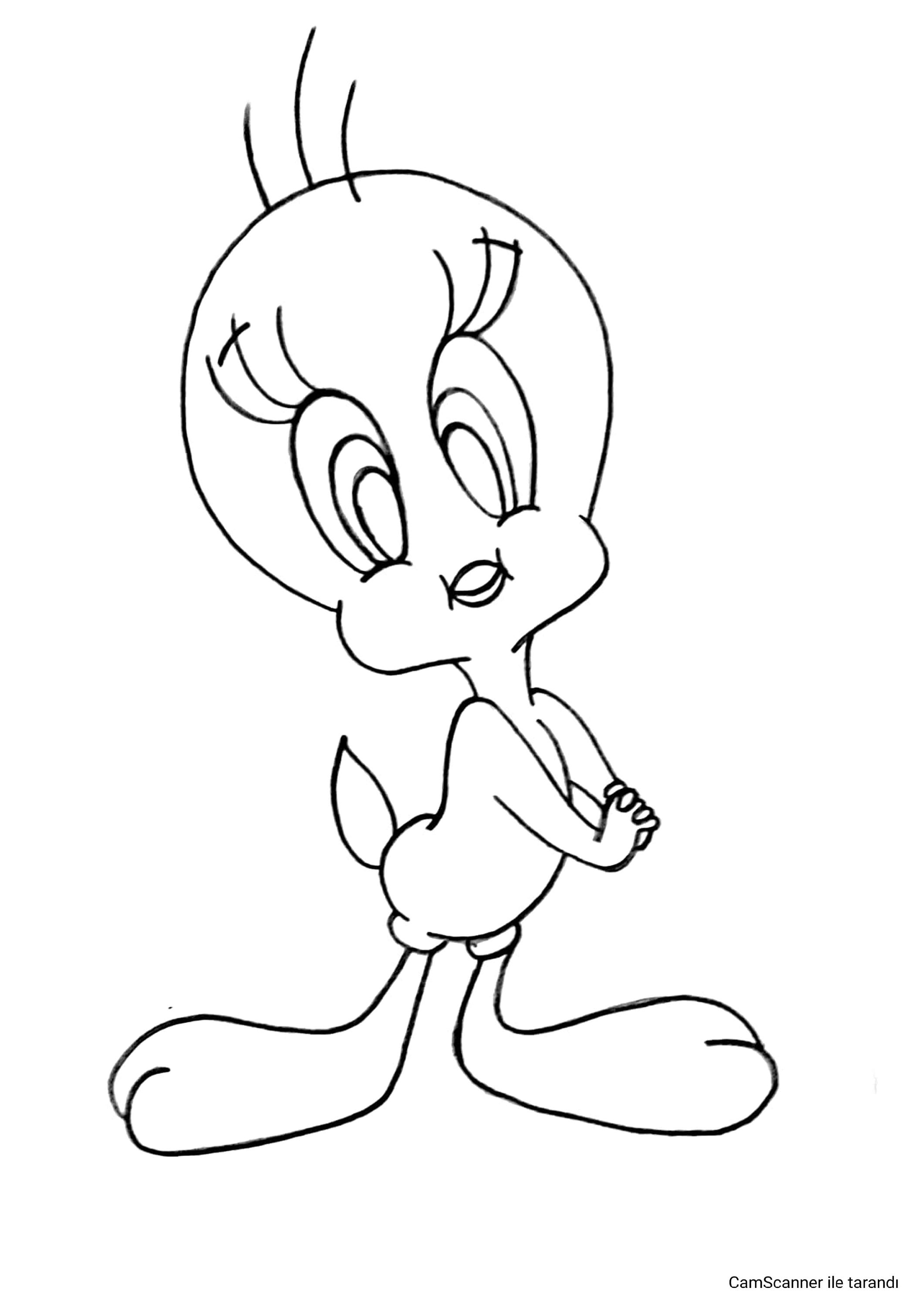 Tweety Handmade Drawing, Gift Drawing, Tweety, Tweety Poster, Tweety ...