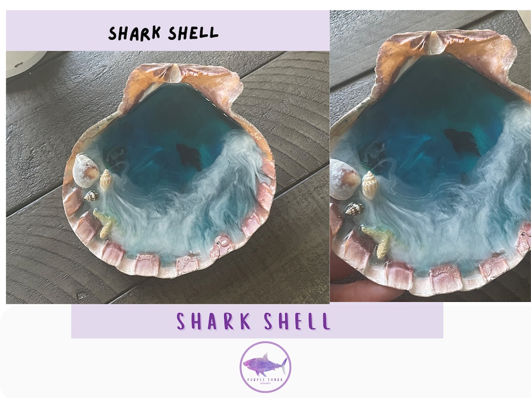 Epoxy Resin Shell, Shell With Shark, Shark, Shell, Resin, Ocean, Gift ...
