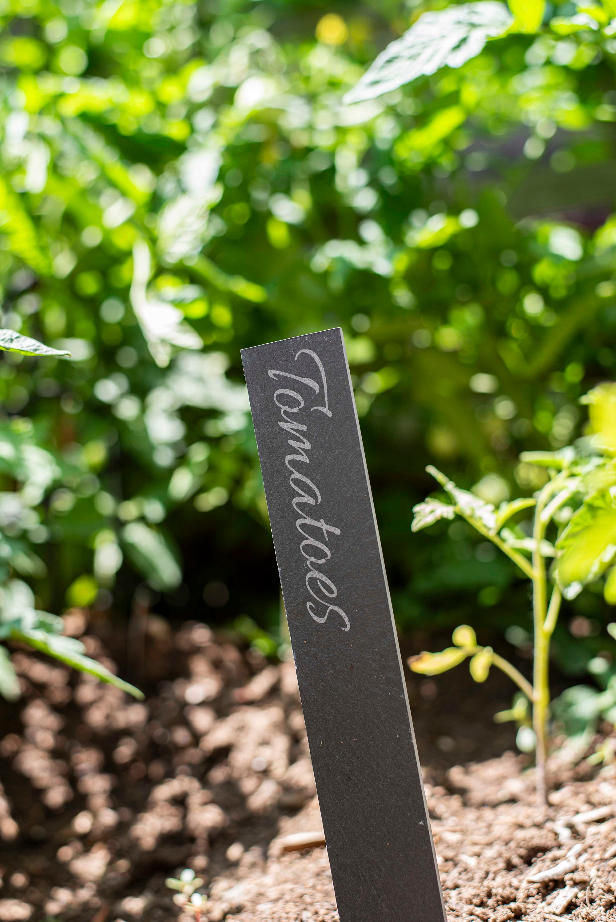 Large Natural Slate Marker for Indoor/outdoor Gardens Personalized ...