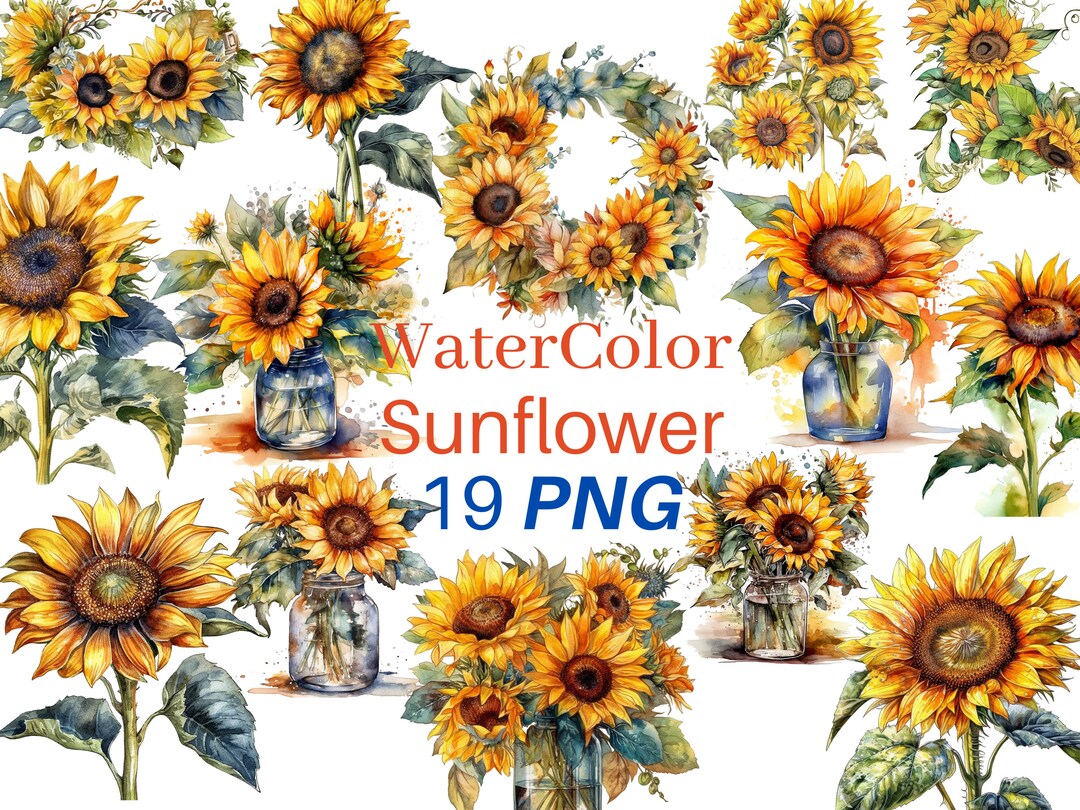 Watercolor Sunflower Clipart Collection - Etsy