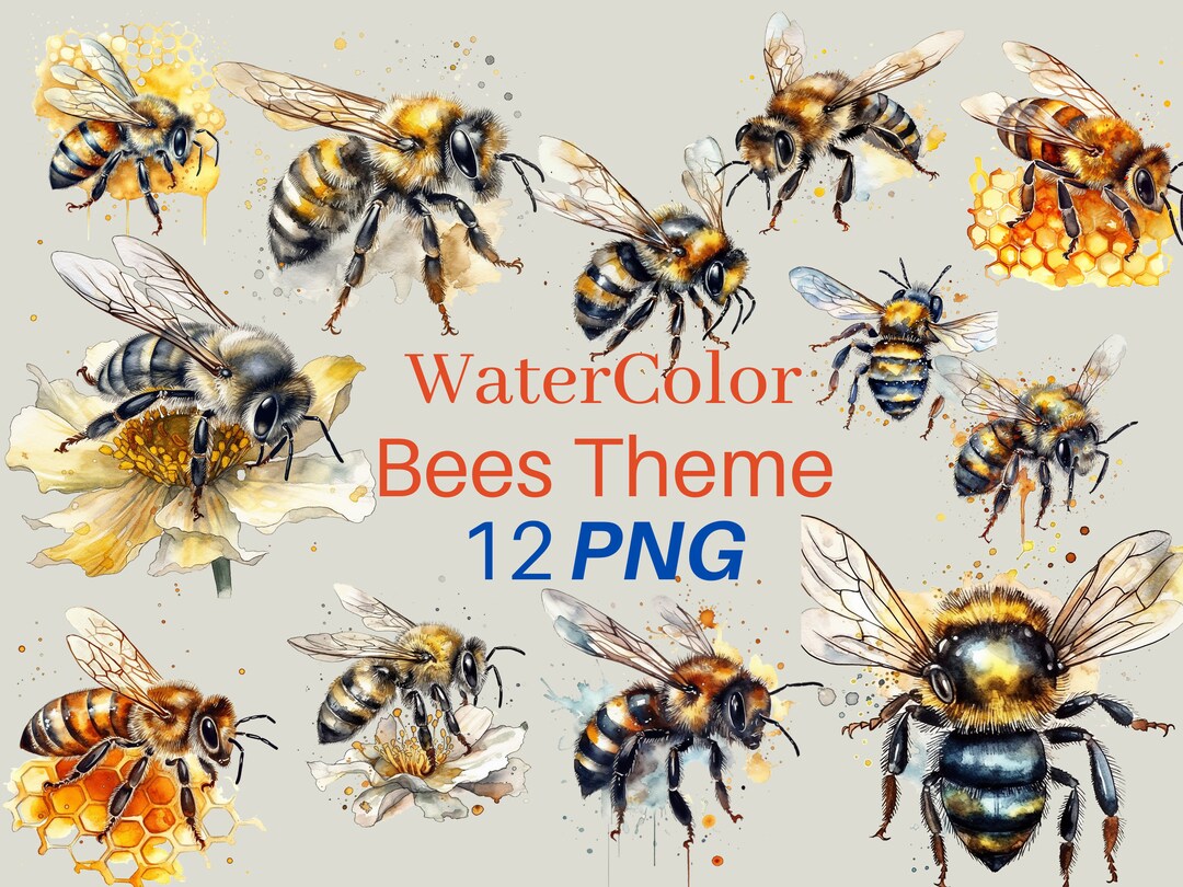 PNG Bee-themed Clipart - Etsy