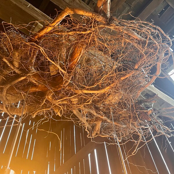 Rustic Lighting - Etsy