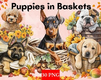 Vintage Puppy Clipart Watercolor Dogs in a Basket Clipart, Vintage ...