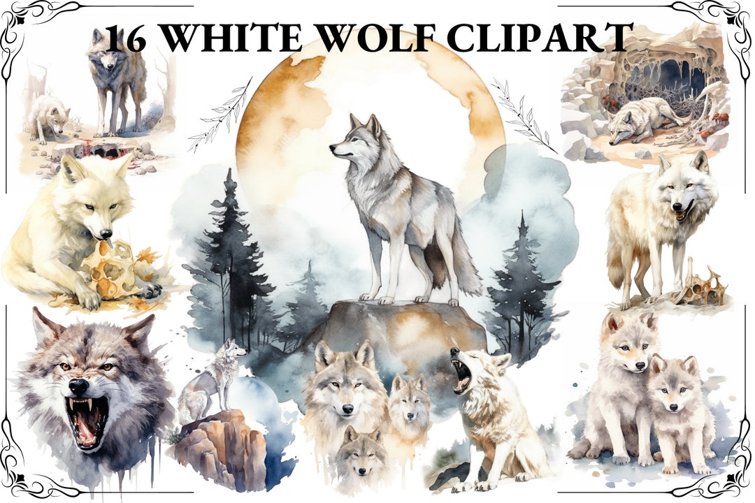 Watercolor White Wolf Clipart Bundle, Commercial Use, Wildlife Nature ...