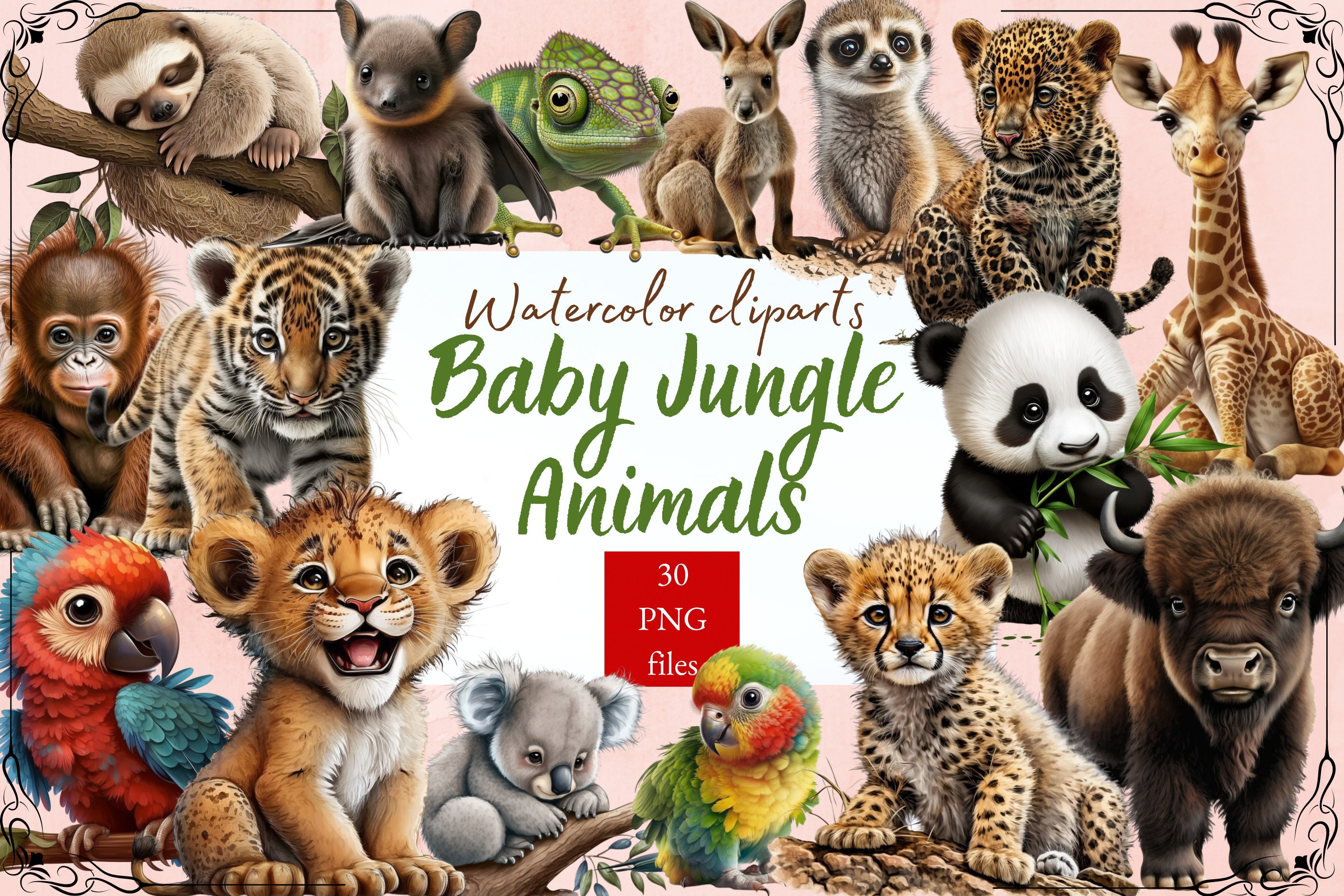 Baby Jungle Animals PNG Clipart for Project Safari PNG Nursery - Etsy