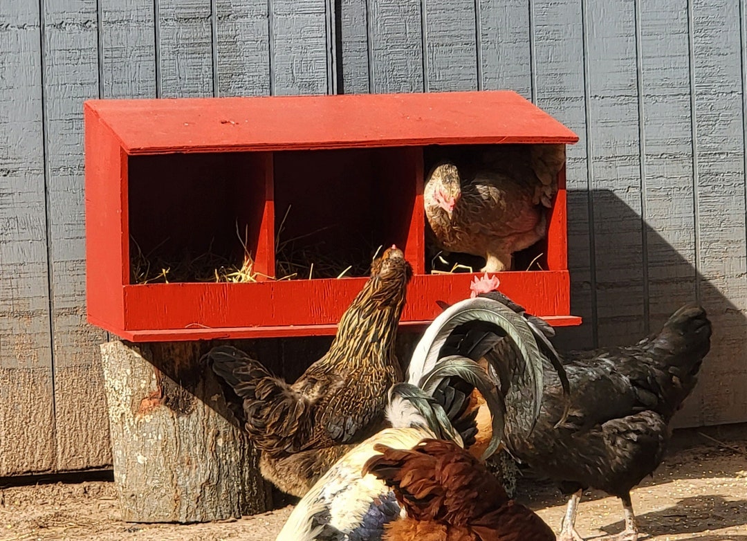 Chicken Nesting Box Building Plan DIY Digital Download PDF - Etsy