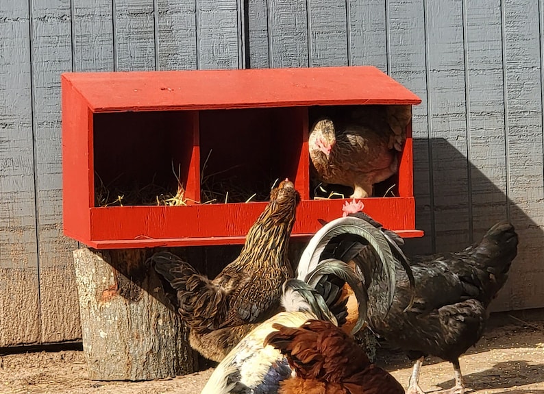 Chicken Nesting Box Building Plan DIY Digital Download PDF - Etsy