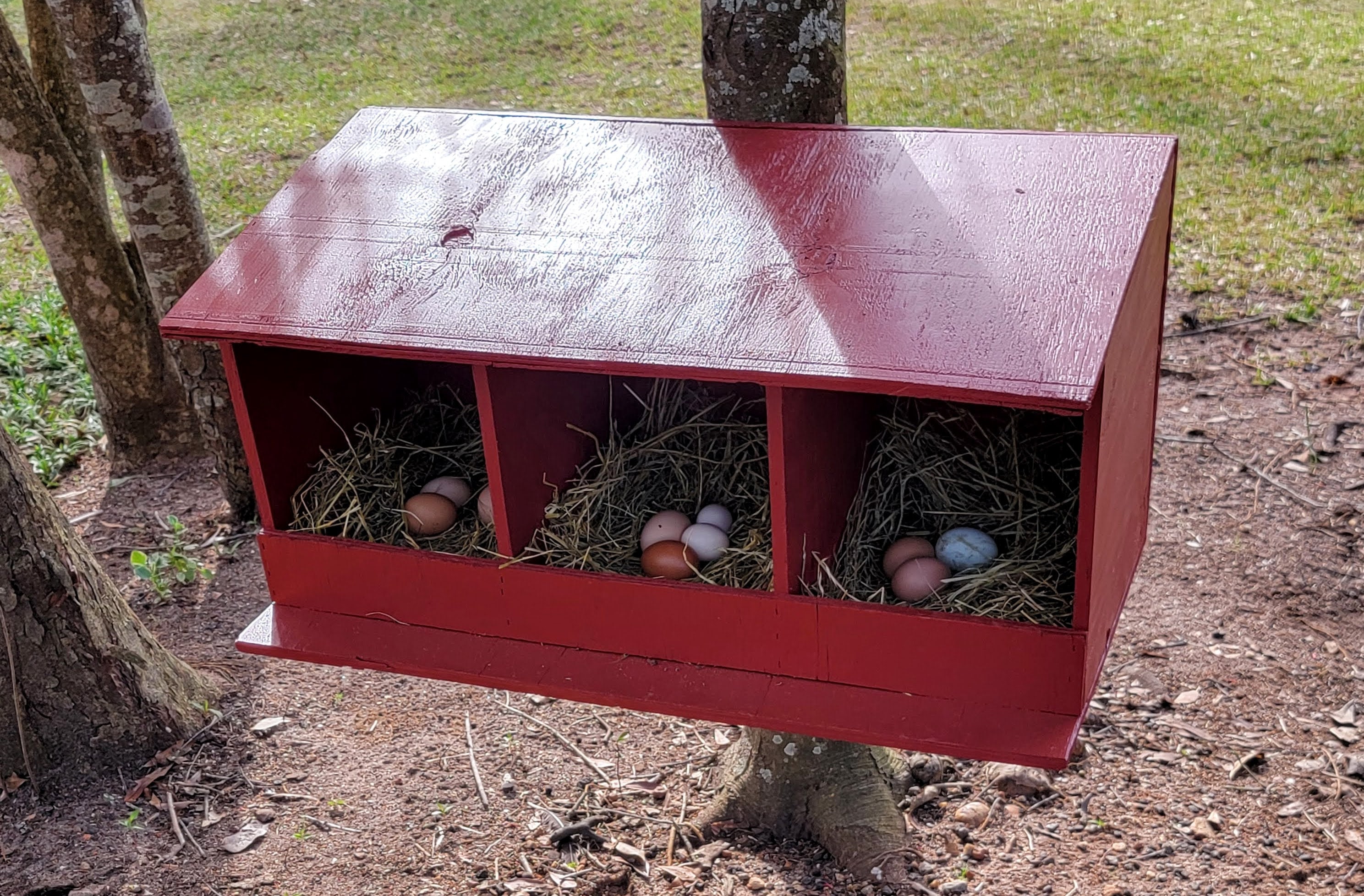 Chicken Nesting Box Building Plan DIY Digital Download PDF - Etsy