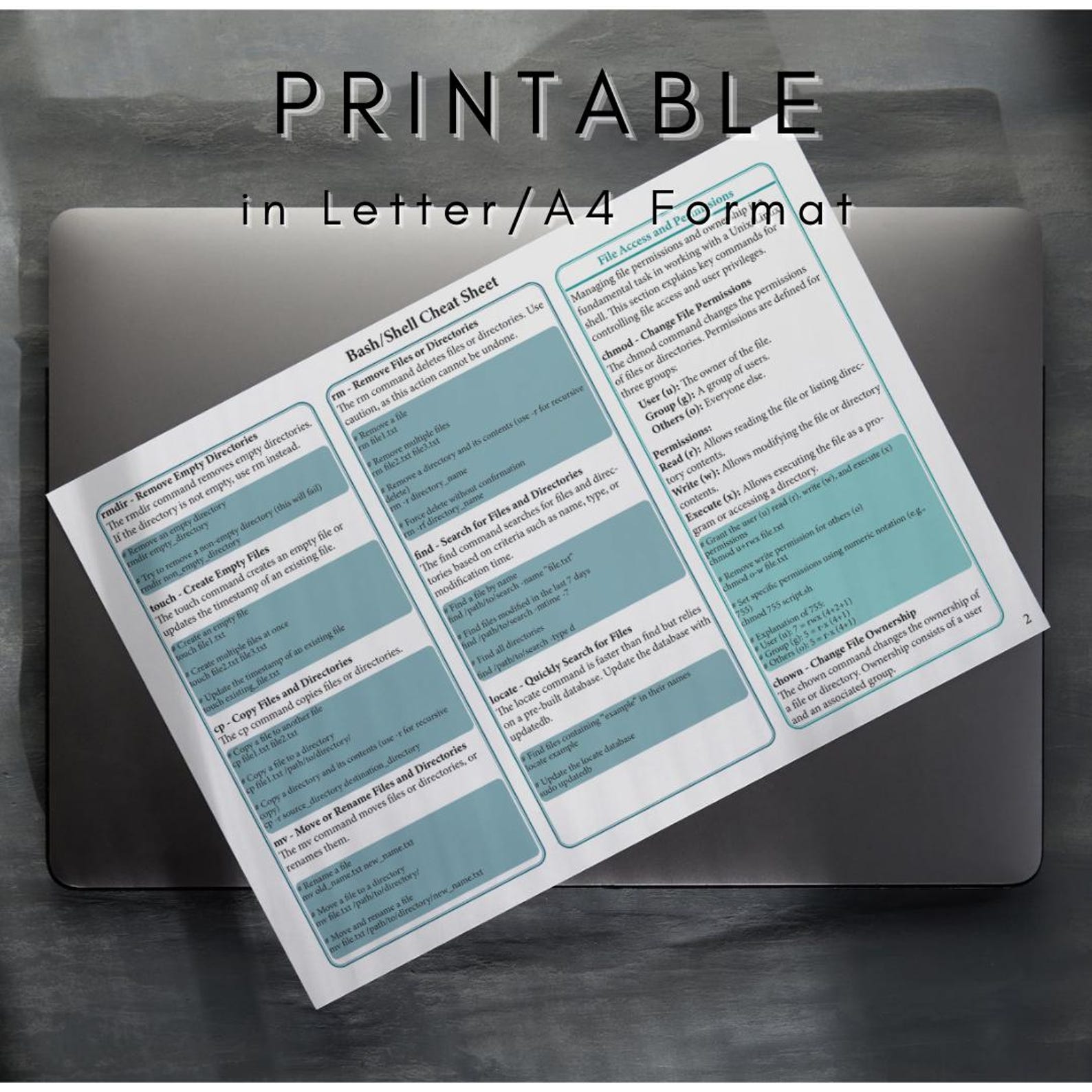 Bash for Beginners Cheat Sheet - Learn Shell Basics Bash Commands Key Functions Shell Scripting ...
