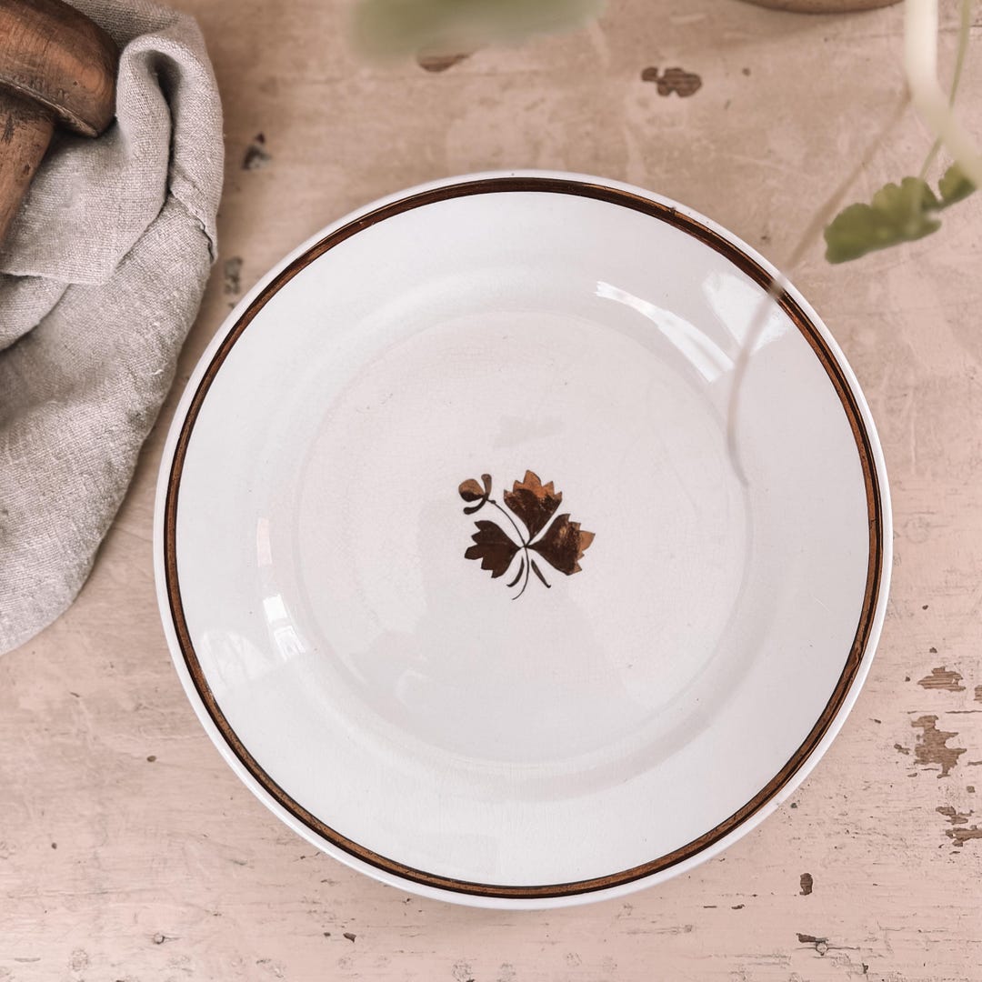 Antique Ironstone Plate, Tea Leaf Ironstone Plate English Collectible ...
