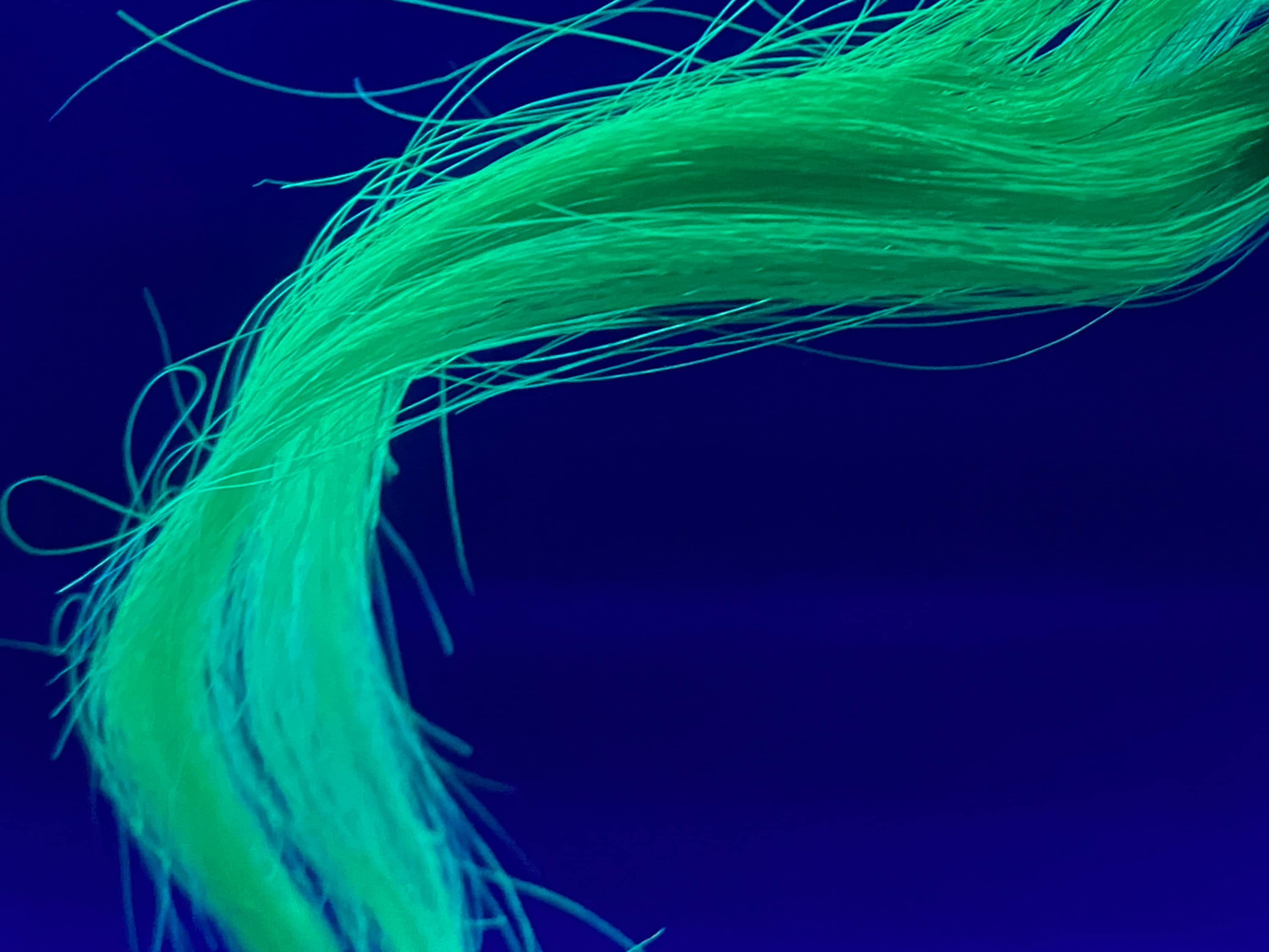 Cosmic Void Hair Color Semi Permanent UV REACTIVE Phosphorus Hot Green ...