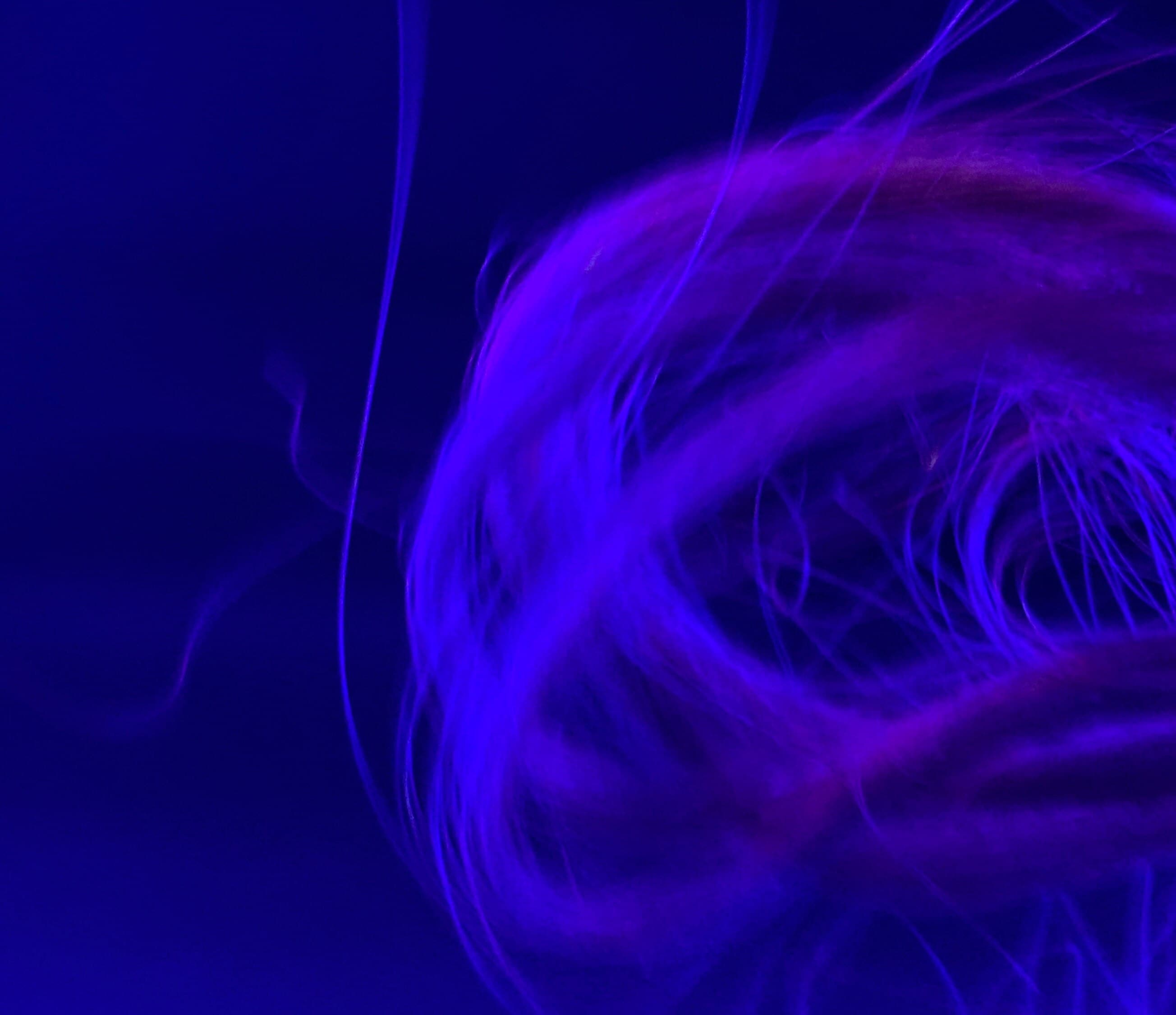 Cosmic Void Hair Color Semi Permanent UV REACTIVE Potassium Hot Purple ...