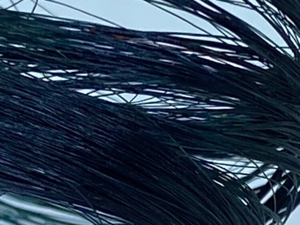 Cosmic Void Hair Color Semi Permanent the Void Cosmic Black Hair Dye ...