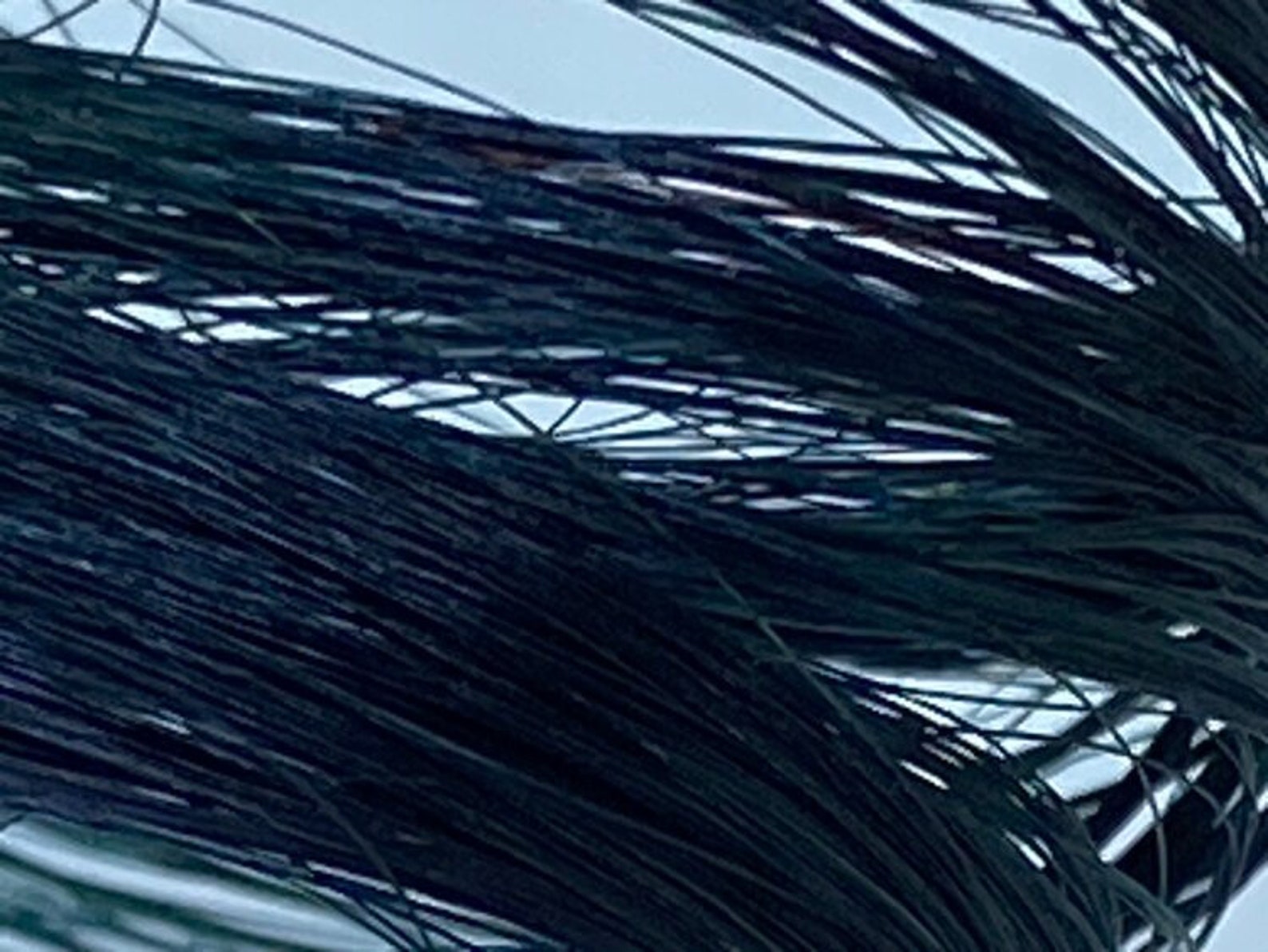 Cosmic Void Hair Color Semi Permanent the Void Cosmic Black Hair Dye ...