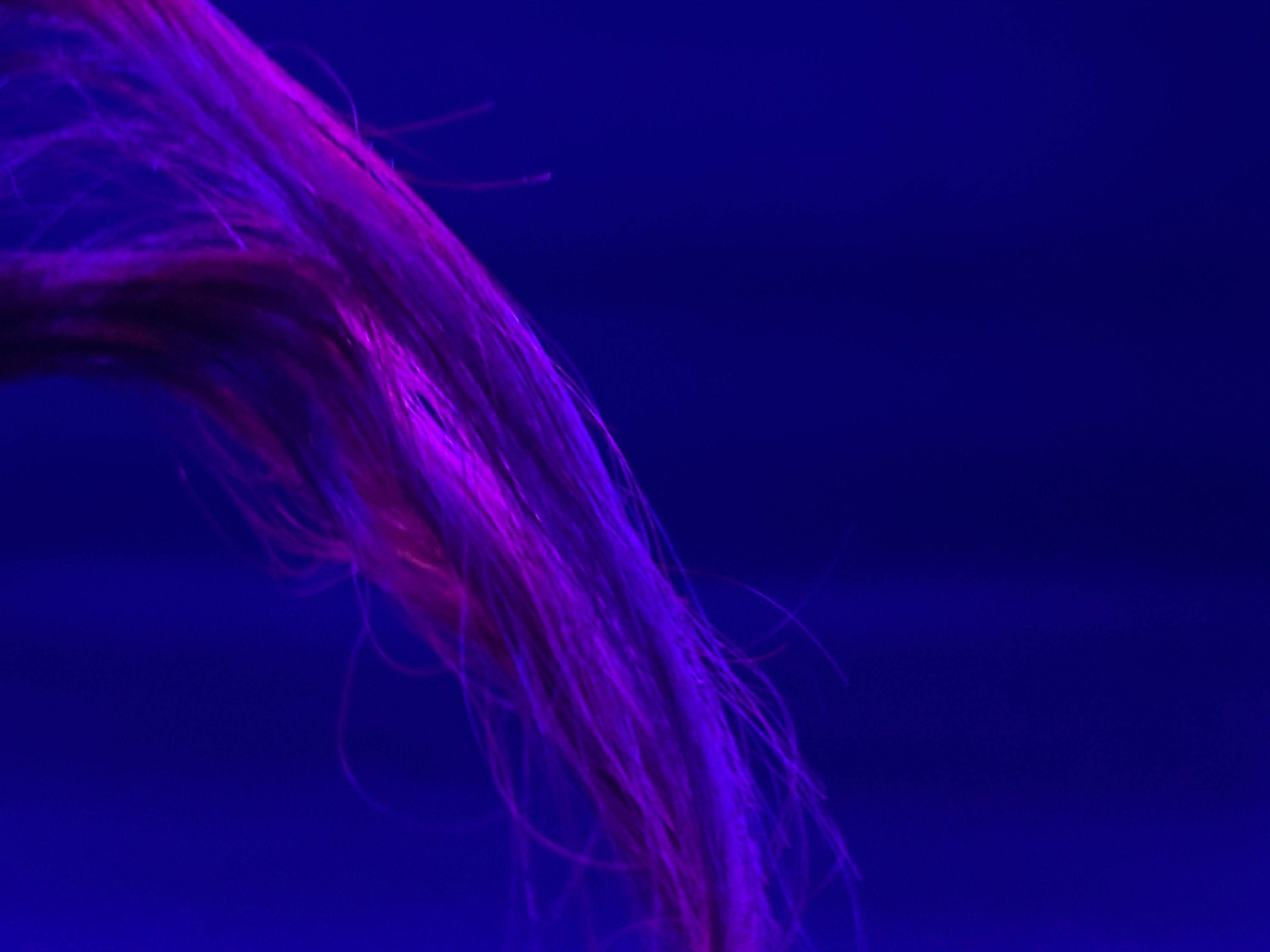 Cosmic Void Hair Color Semi Permanent UV REACTIVE Plutonium Hot Red ...