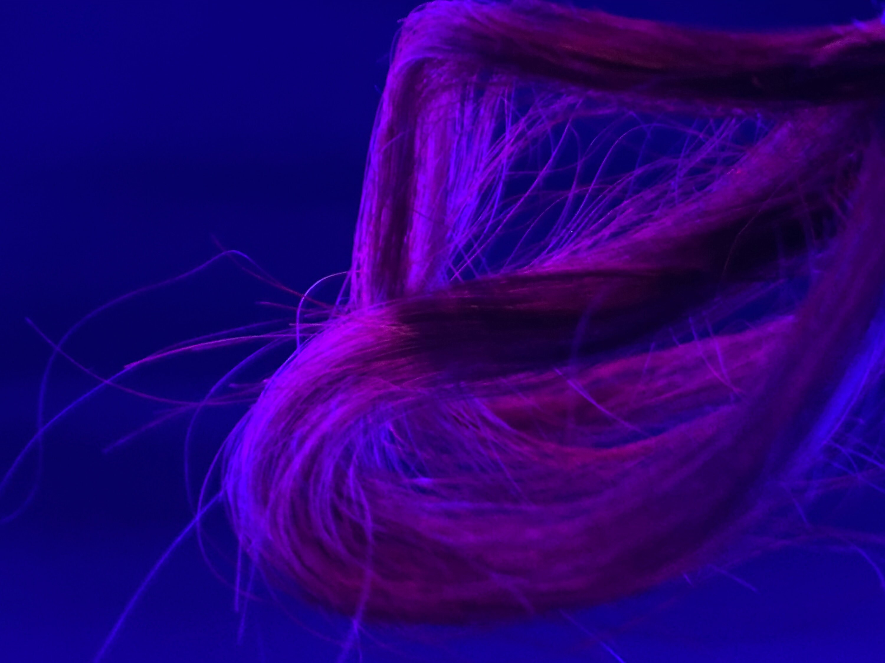 Cosmic Void Hair Color Semi Permanent UV REACTIVE Plutonium Hot Red ...