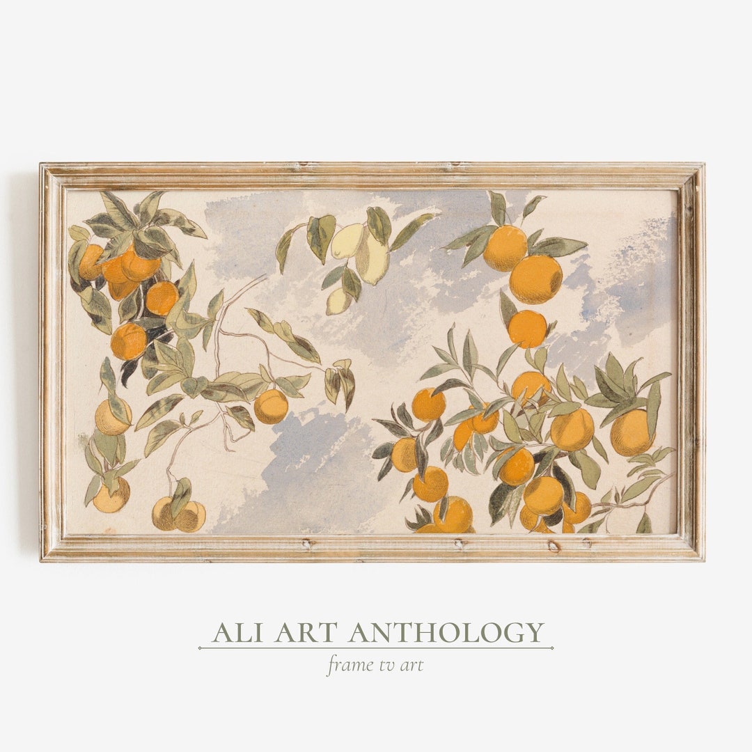Vintage Fruit Tree Still Life Frame TV Art (digital Download) - Etsy