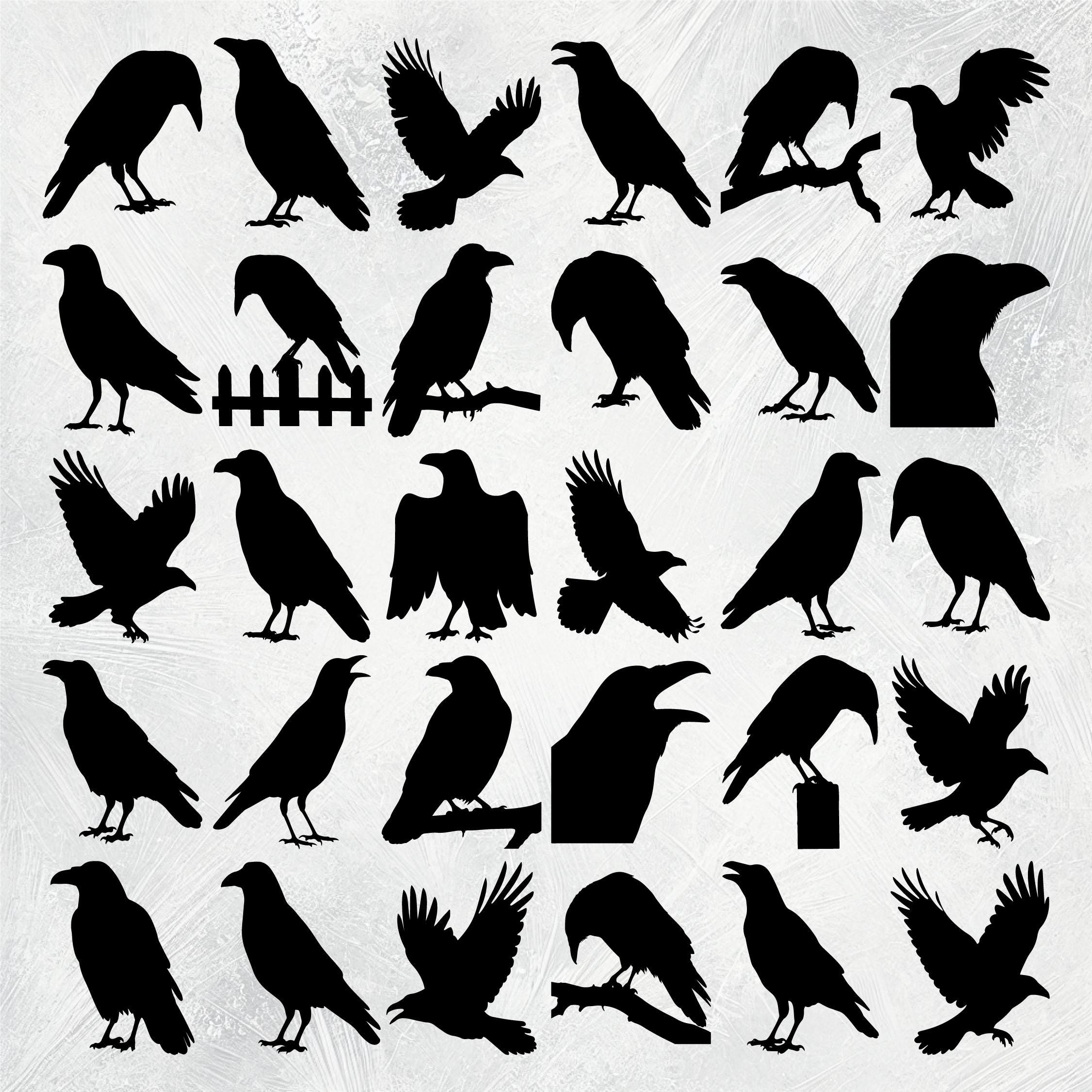 Raven SVG Bundle (35 SVG & PNG Files) Instant Download, Commercial Use ...