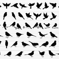 Bird Svg - Etsy