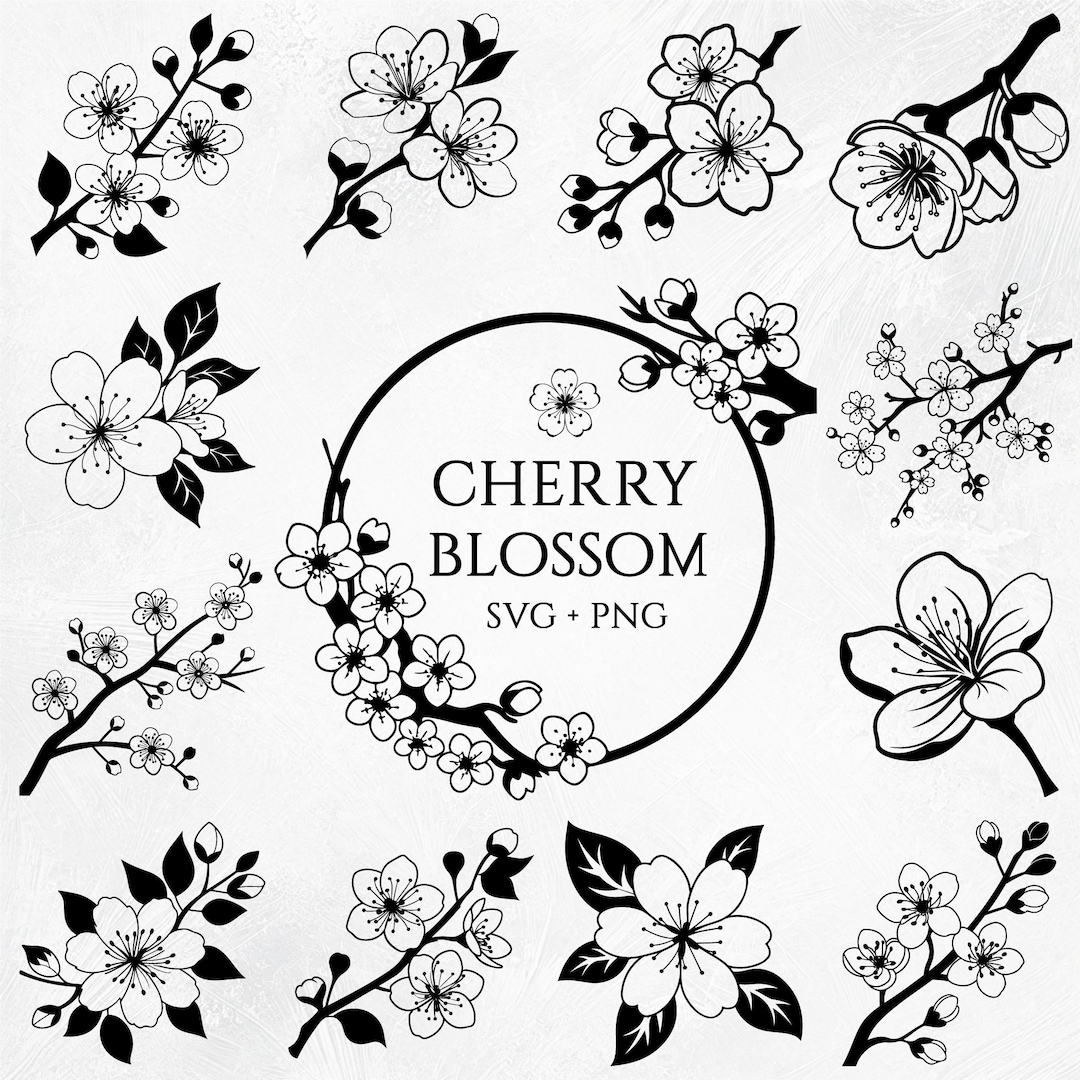 Cherry Blossom SVG, Sakura Flower Svg, Sakura Blossom Svg, Cherry Blosson Line Art, Sakura ...