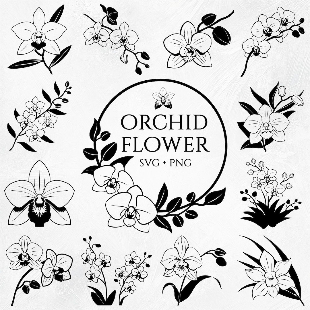 Orchid SVG, Orchid Flower Svg, Orchid Lineart, Floral Frame Svg, Orchid ...
