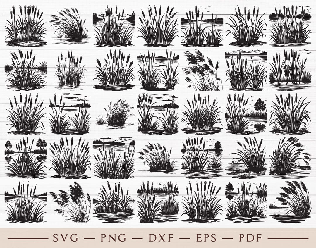 Reeds SVG, Cattail Svg, Grass Reeds Svg, Reeds Silhouette, Cattail ...