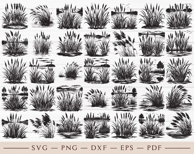 Cattail SVG. Cattail Png. Cattail Clipart. Cattail Cut File. Cattail ...