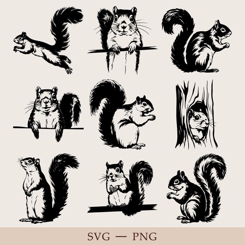 Squirrel Svg - Etsy
