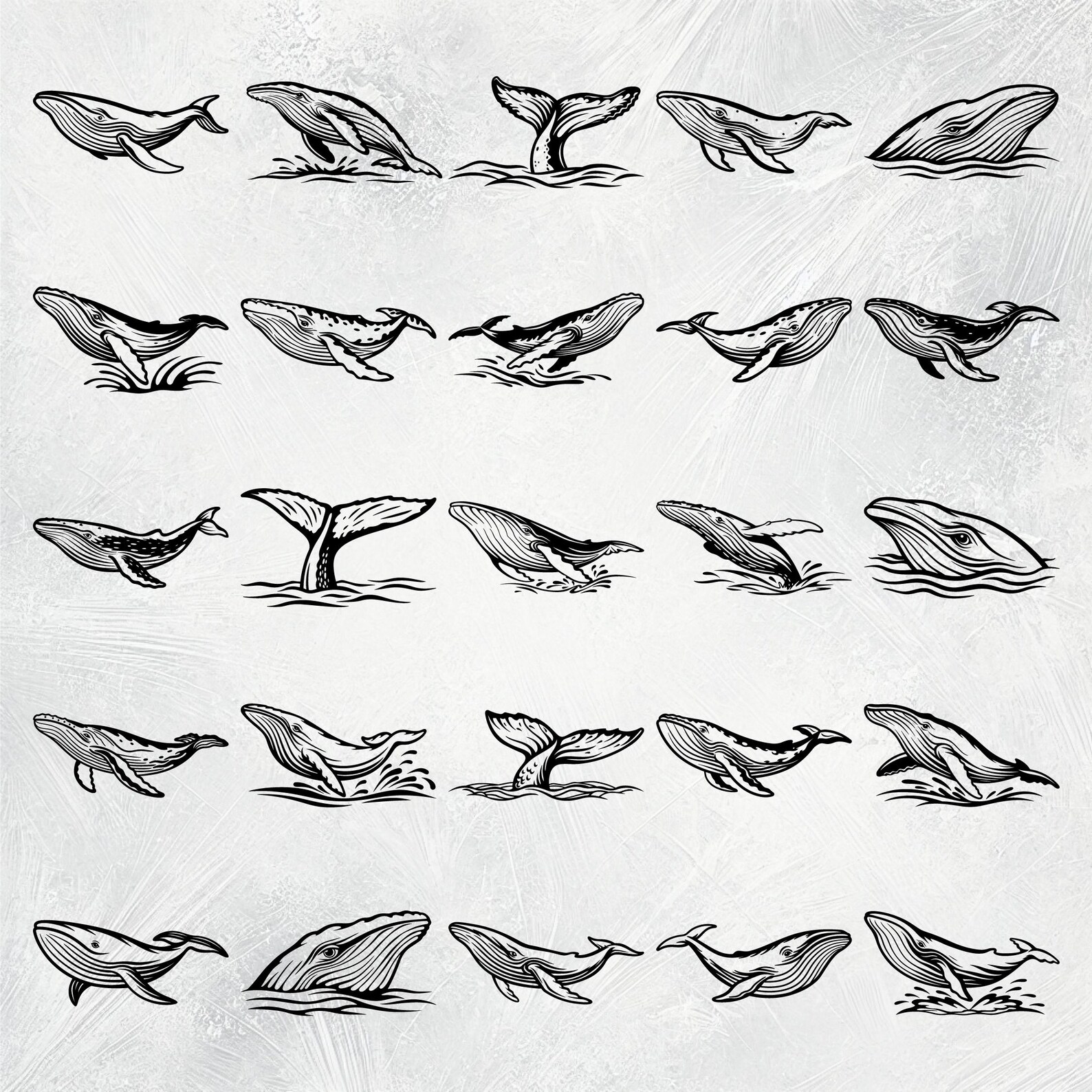 Humpback Whale SVG Bundle (25 SVG & PNG Files) Instant Download ...