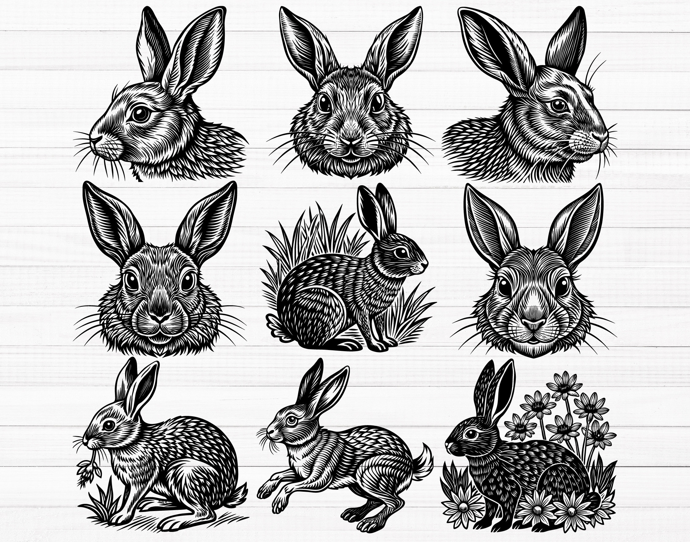 Conejo SVG, Paquete Svg de conejo, Imágenes prediseñadas de conejo ...