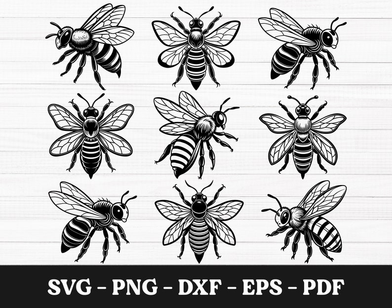 Paquete SVG de abeja, abeja de miel svg, abeja voladora svg, silueta de ...