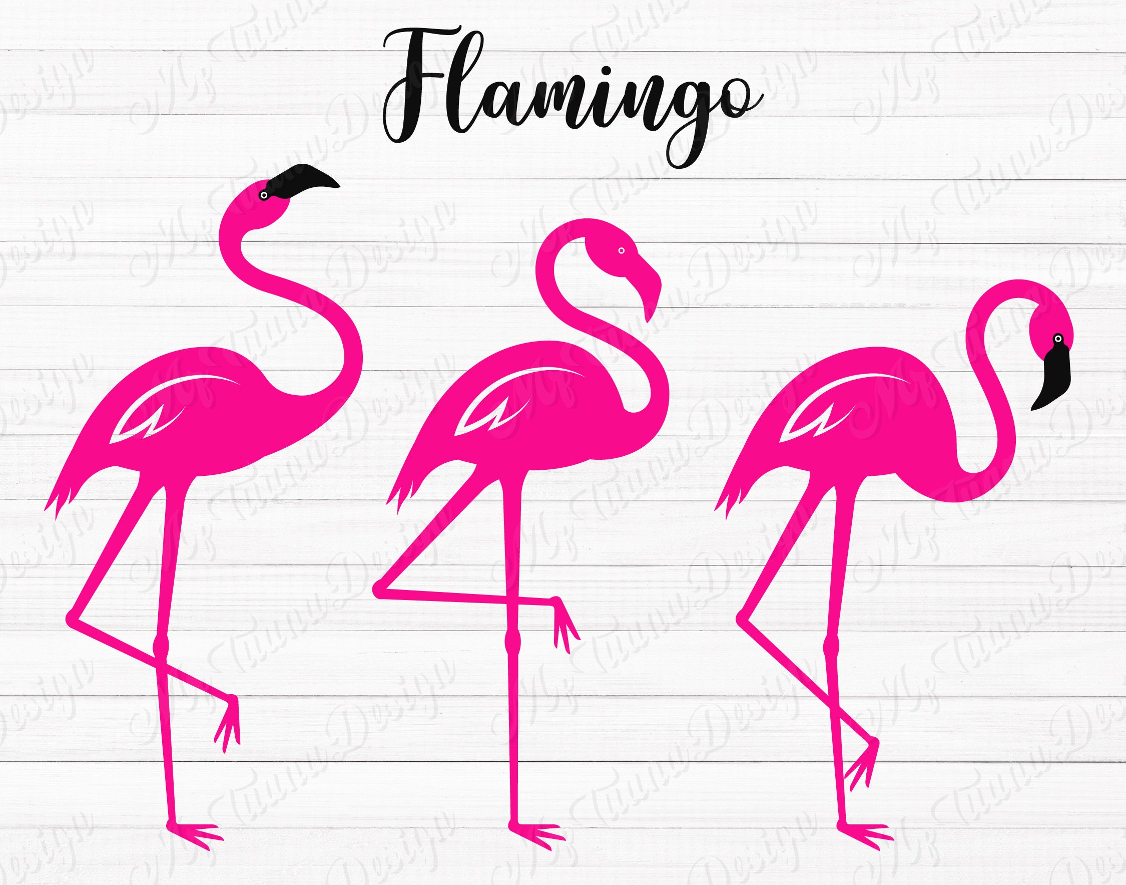 Flamingo SVG, Flamingo Clipart PNG, Flamingo Svg Bundle, Pink Flamingo ...