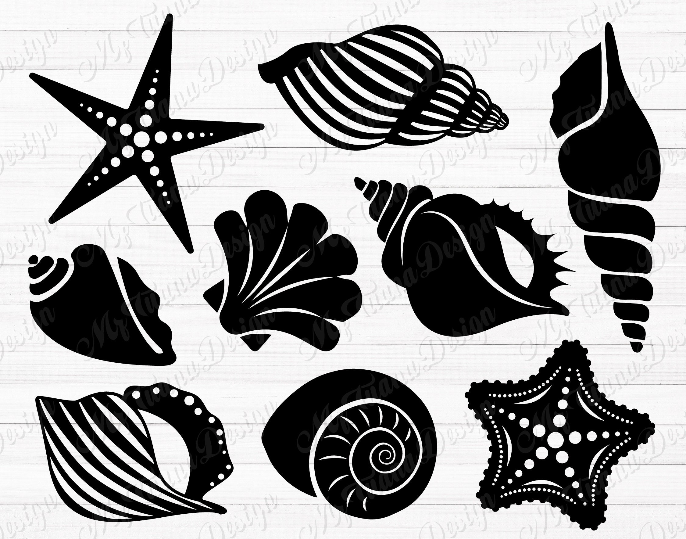 Ocean Animals SVG Bundle, Sea Shells Ocean, Seahorse Svg, Starfish Svg ...