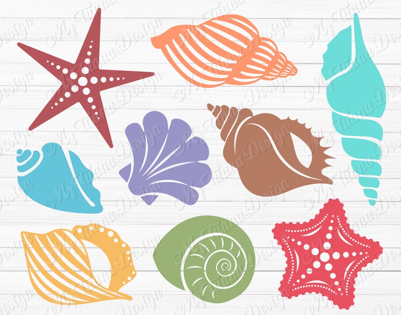 Ocean Animals SVG Bundle Sea Shells Ocean Seahorse Svg - Etsy