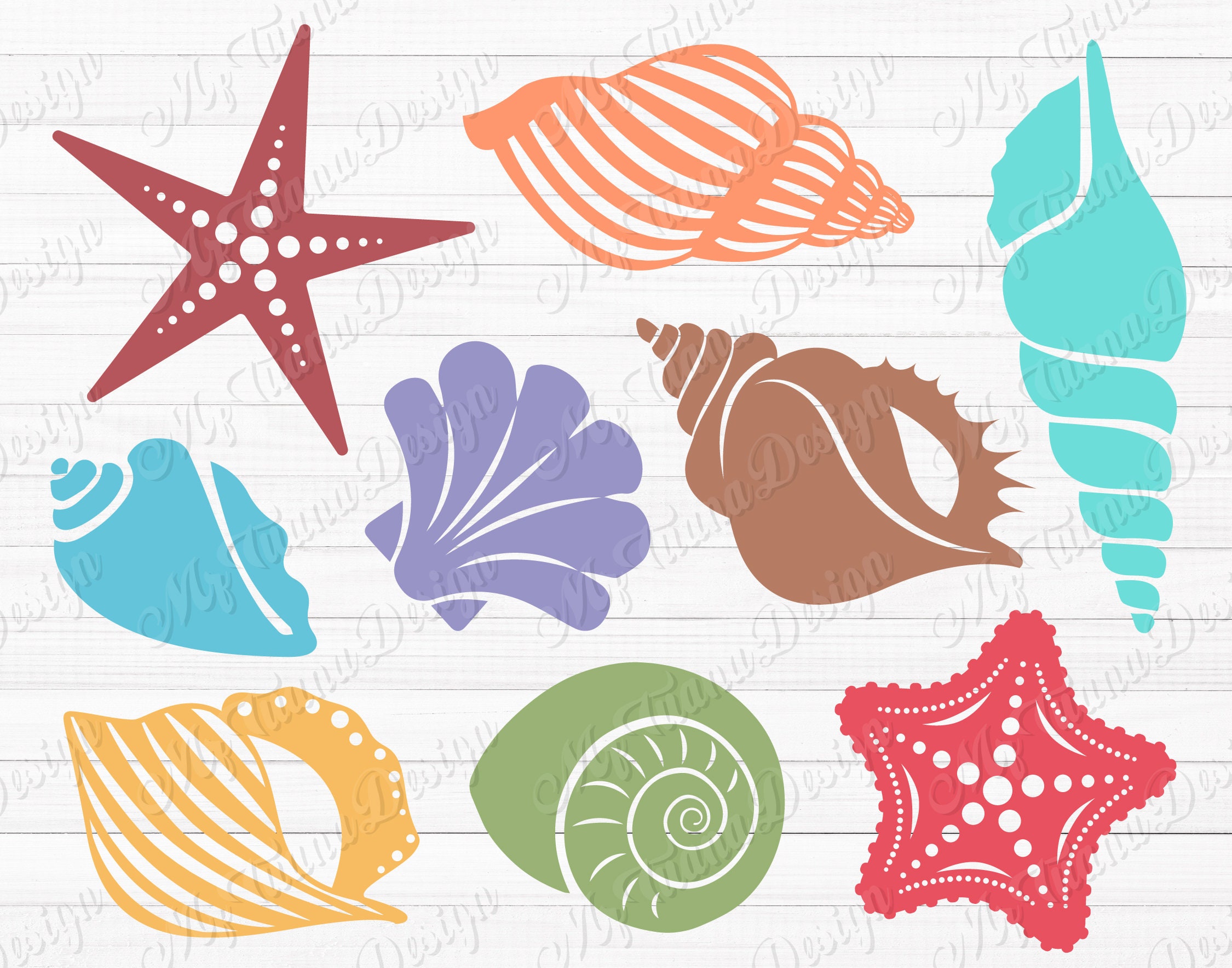Ocean Animals SVG Bundle Sea Shells Ocean Seahorse Svg - Etsy
