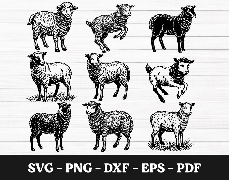 Sheep SVG, Sheep Svg Bundle, Sheep Vector, Farm Animal Svg, Lamb Svg ...