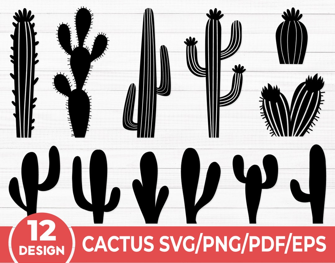 Cactus Svg Cactus Png Cactus Flower Svg Succulent Svg - Etsy México